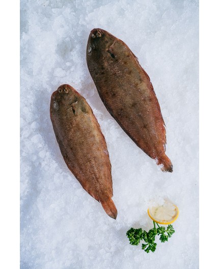 Côté Fish - Sole - Poisson frais en ligne | Livraison à domicile