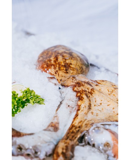 Côté Fish - Poulpe - Poisson frais en ligne | Livraison à domicile